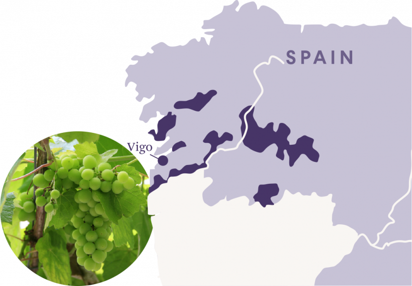 Going global - VITIS