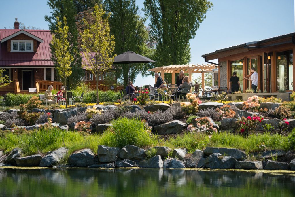 The delicious charm of the islands - VITIS