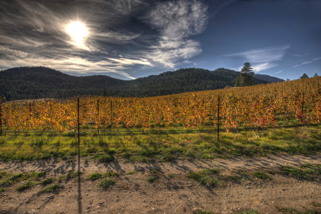 Taking it to the limit - VITIS