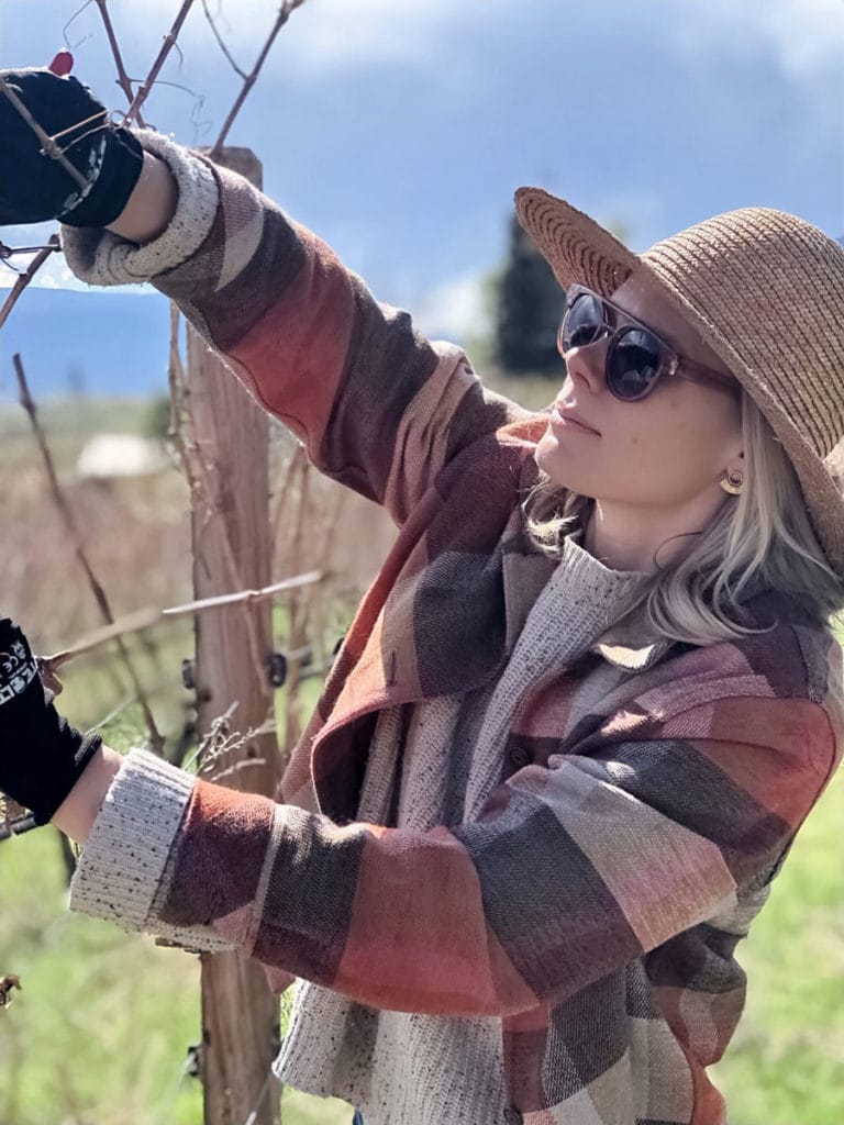 Bottled Up! with Emily Walker - VITIS