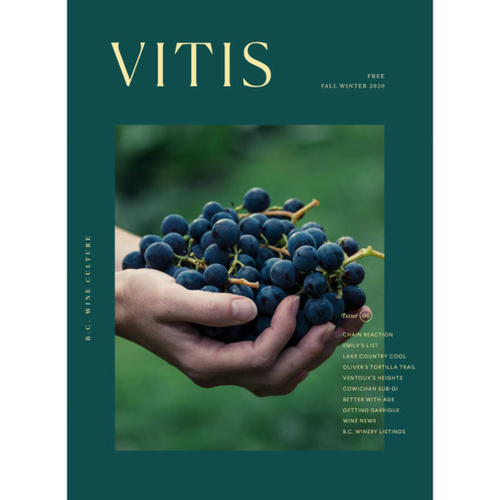 Tim Pawsey honoured by BCWI - VITIS