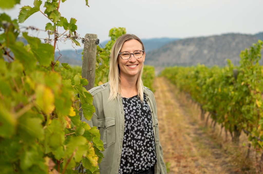 Frozen in time - VITIS