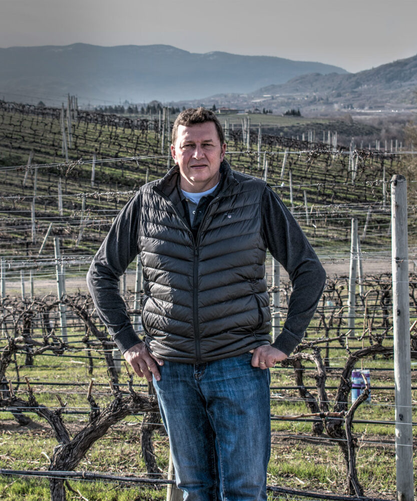 A world of wine experience - VITIS