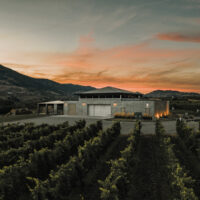 VITIS - B.C. Wine Culture