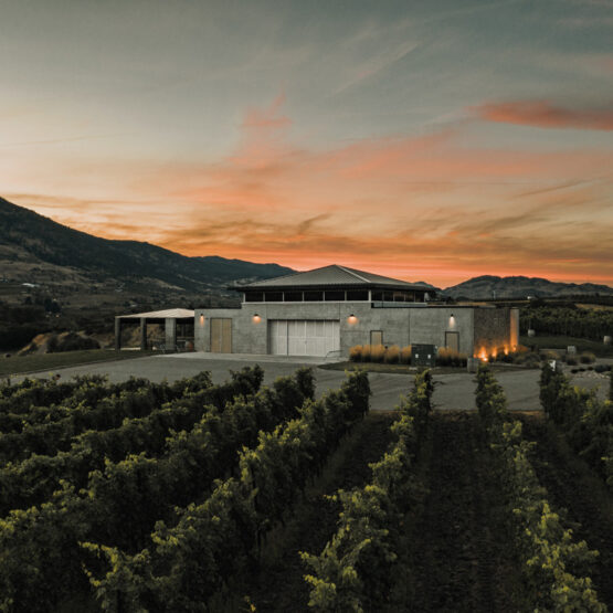 VITIS - B.C. Wine Culture