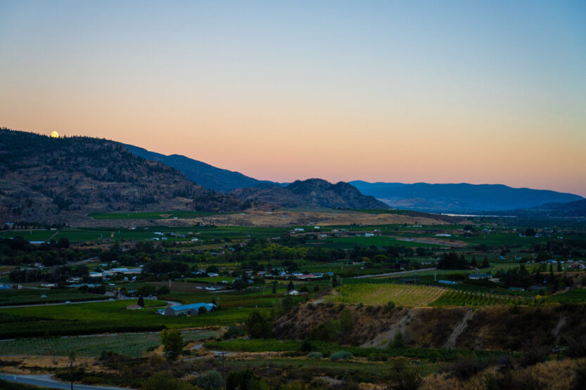 Tinhorn Creek: A Lighter, More Local Footprint - VITIS