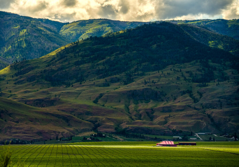 Classic meets unconventional at Red Barn Winery - VITIS