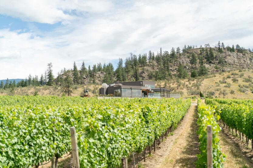 How to mark International Merlot Day - VITIS