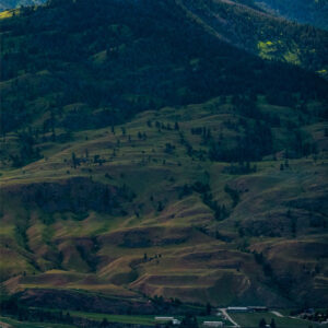 VITIS - Wine Culture Magazine